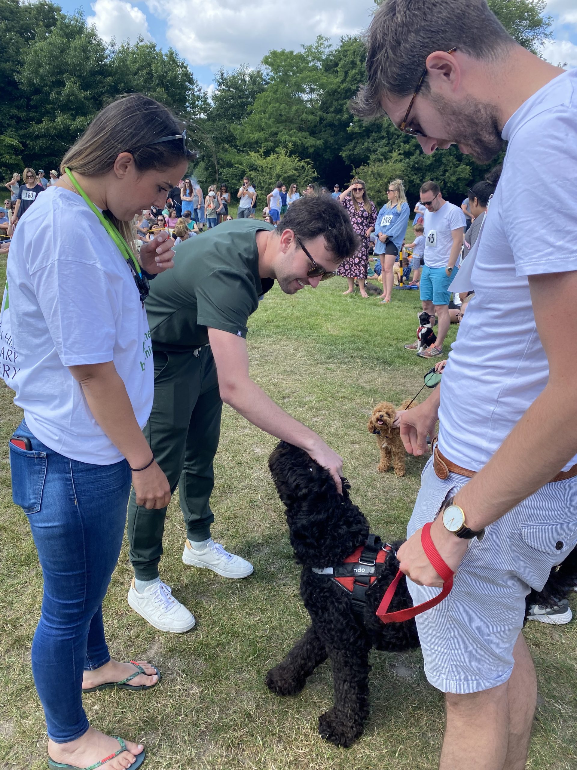 tooting-common-fun-dog-show-2022-streatham-hill-vets