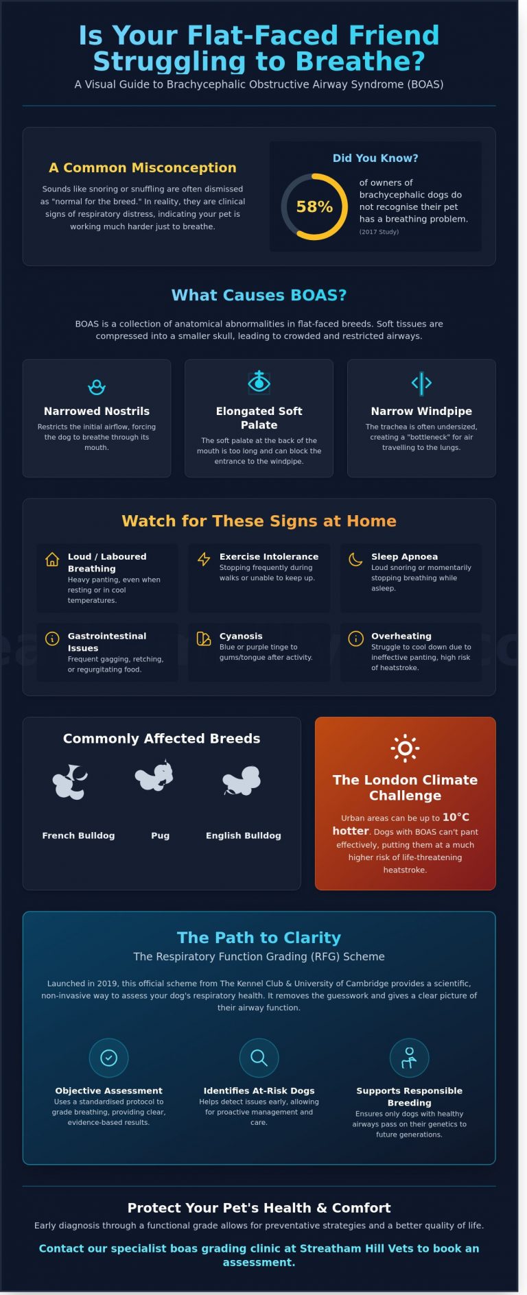 BOAS Grading Clinic in Streatham: The Complete Guide for South London ...
